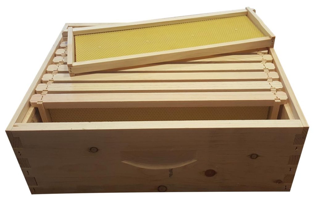Super Box with 10 Frames and Foundations - BY's Honey Farm
